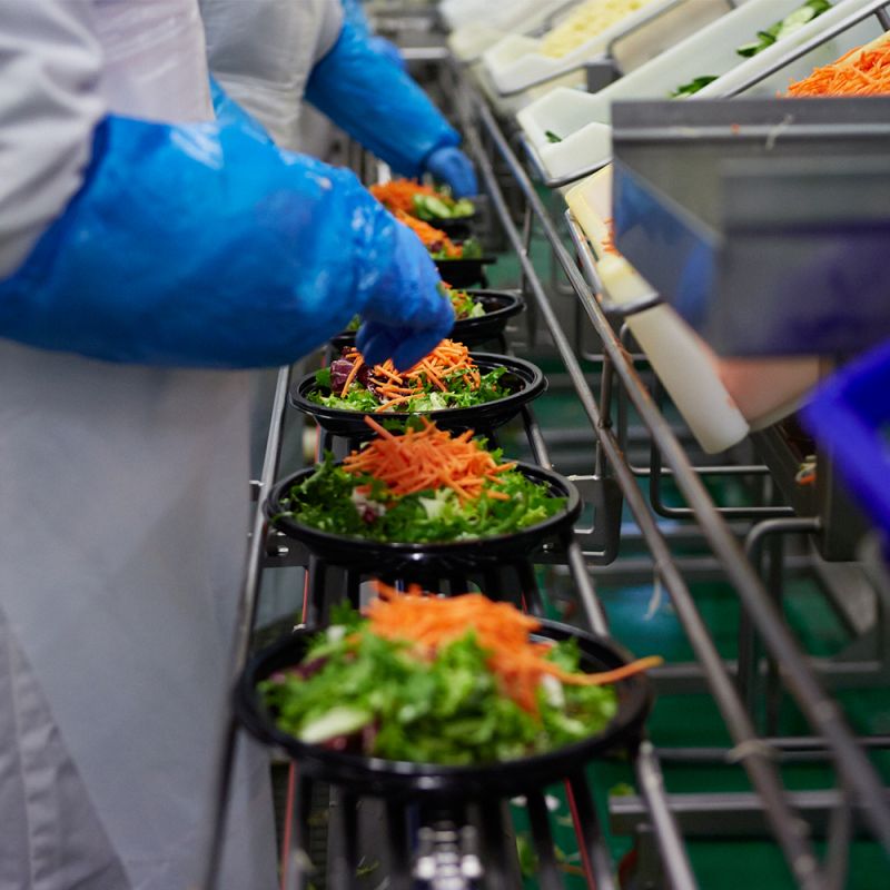 QS - Meilensteine des QS-Systems